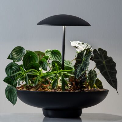 Garden II - GEO Cerâmica